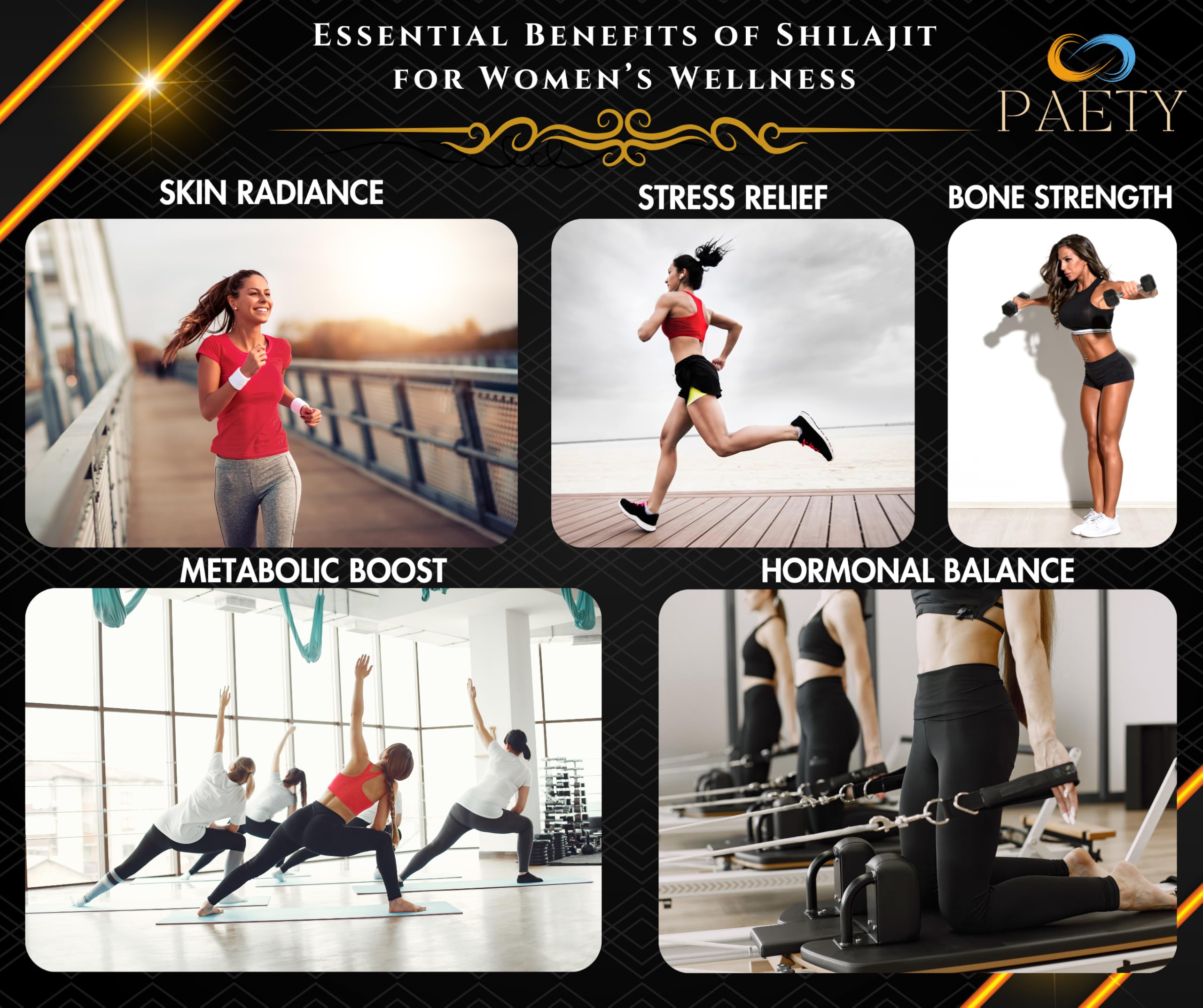 Himalayan shilajit for immune support