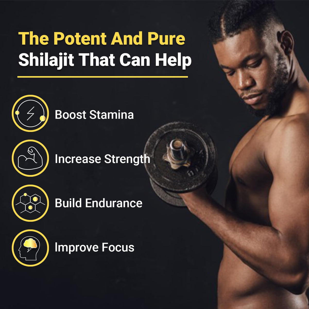 Himalayan Shilajit for improved vitality