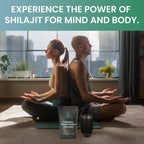 Himalayan Shilajit for natural detox