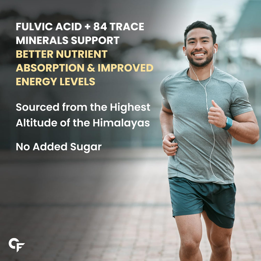 Himalayan shilajit for overall health