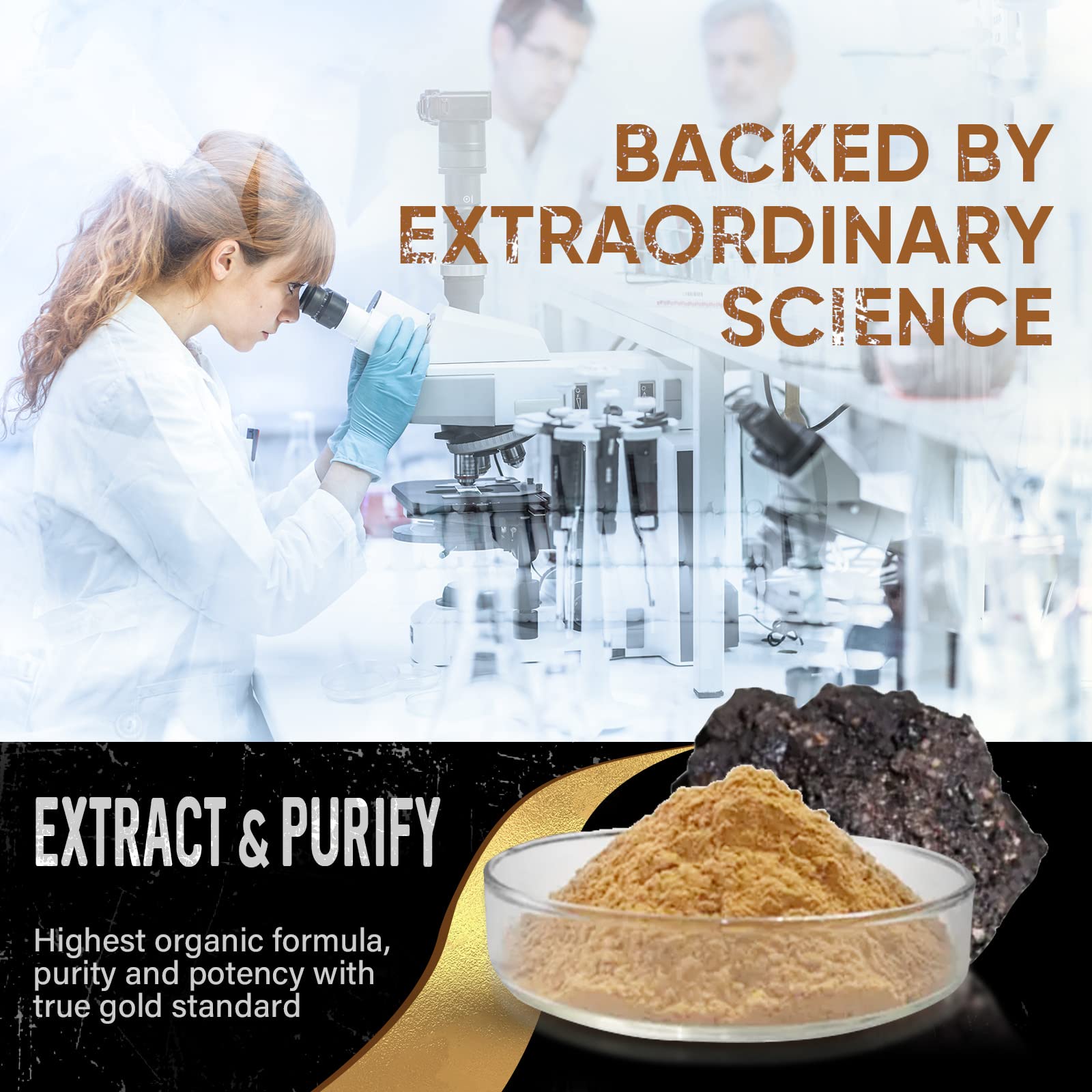 Himalayan Shilajit for vitality