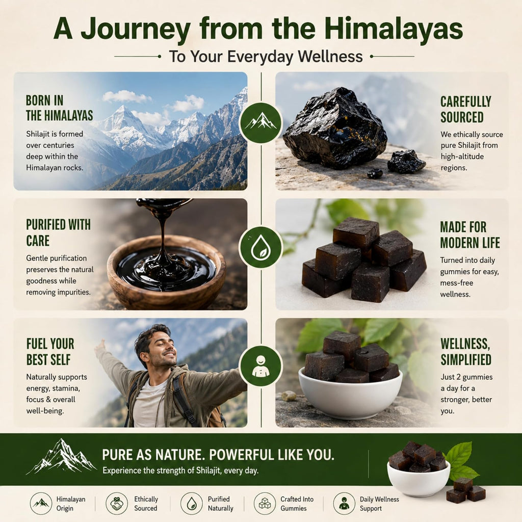 Himalayan Shilajit for wellness