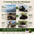 Himalayan Shilajit for wellness