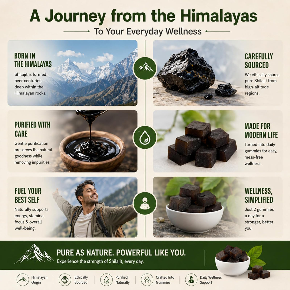 Himalayan Shilajit for wellness