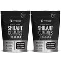 Himalayan Shilajit gummies for energy