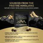 Himalayan Shilajit gummies for vitality