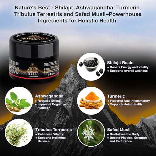 Himalayan Shilajit health benefits