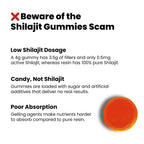 Himalayan shilajit resin benefits