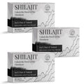 Himalayan Shilajit tablets for energy