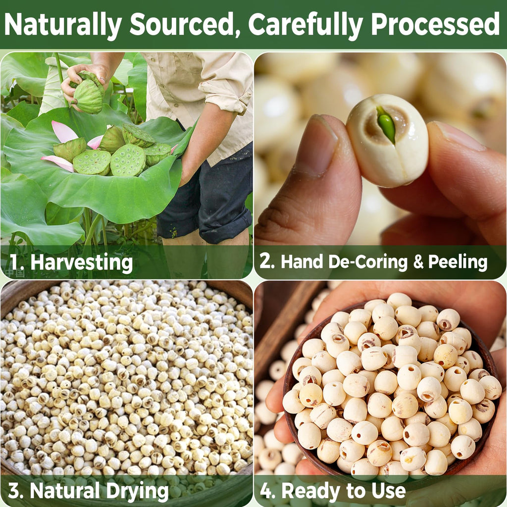 HJUOOKD dried lotus seeds benefits
