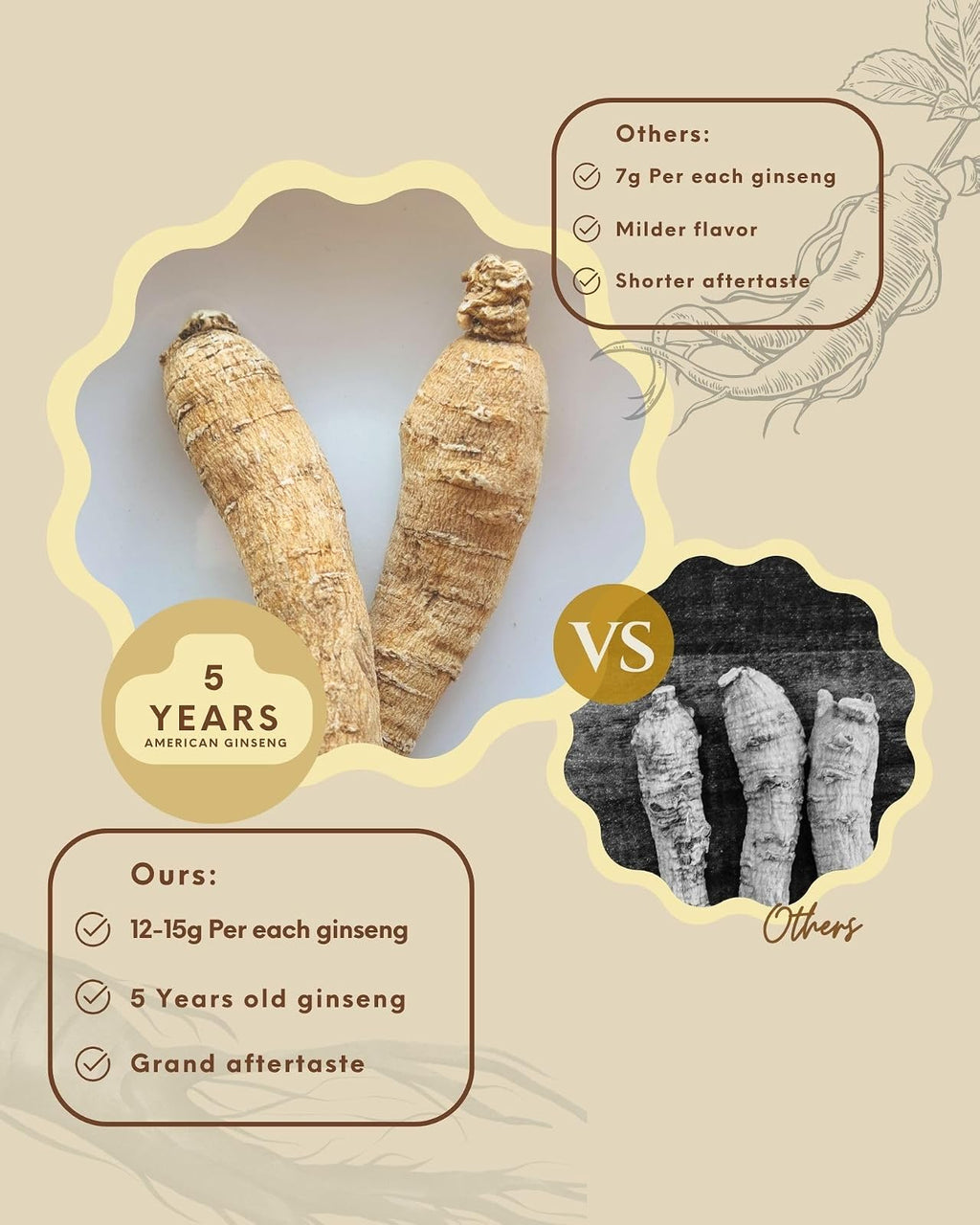 HLX ginseng root for natural wellness