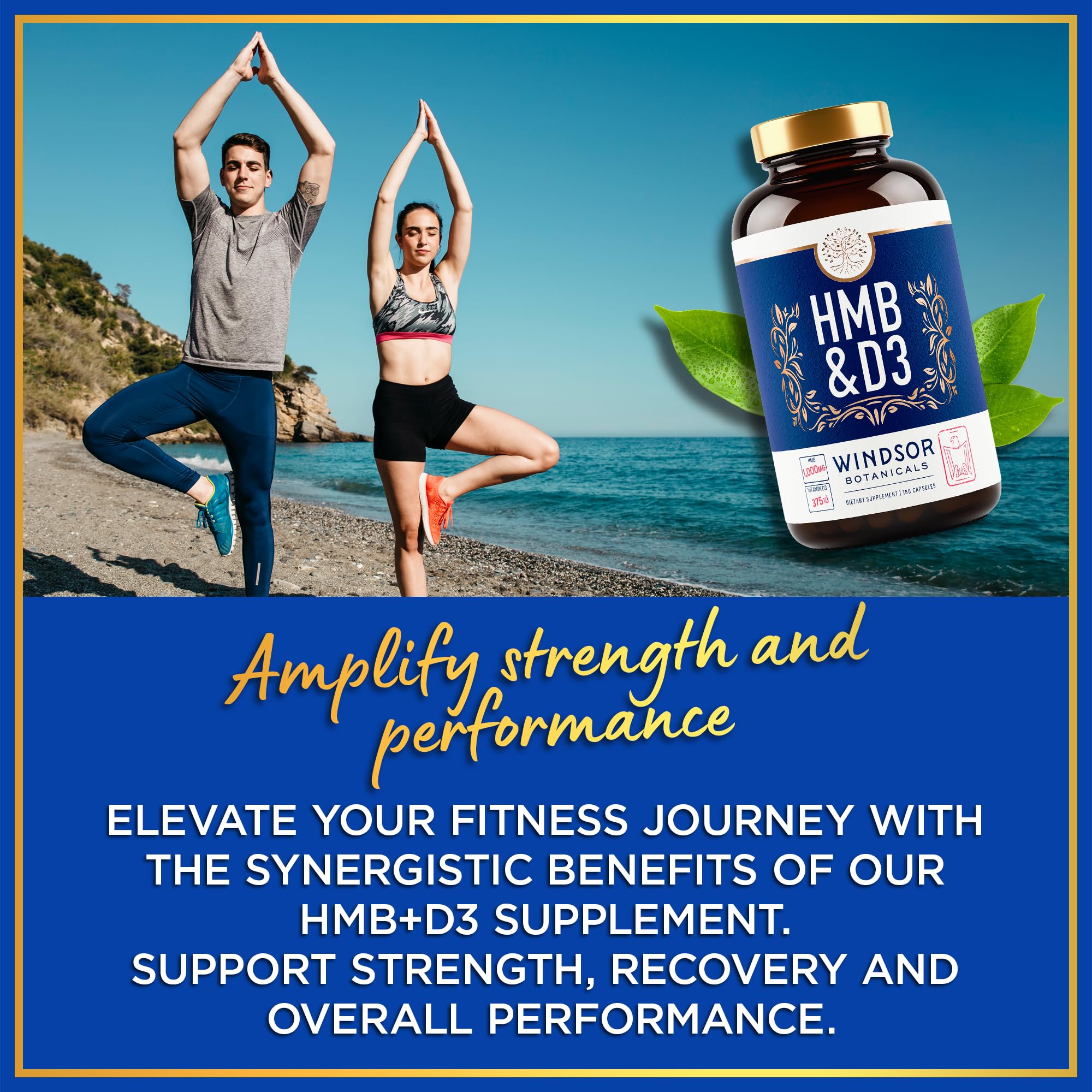 HMB and Vitamin D3 for fitness