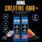 HMB+ creatine for muscle recovery