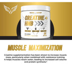 HMB creatine supports workout recovery