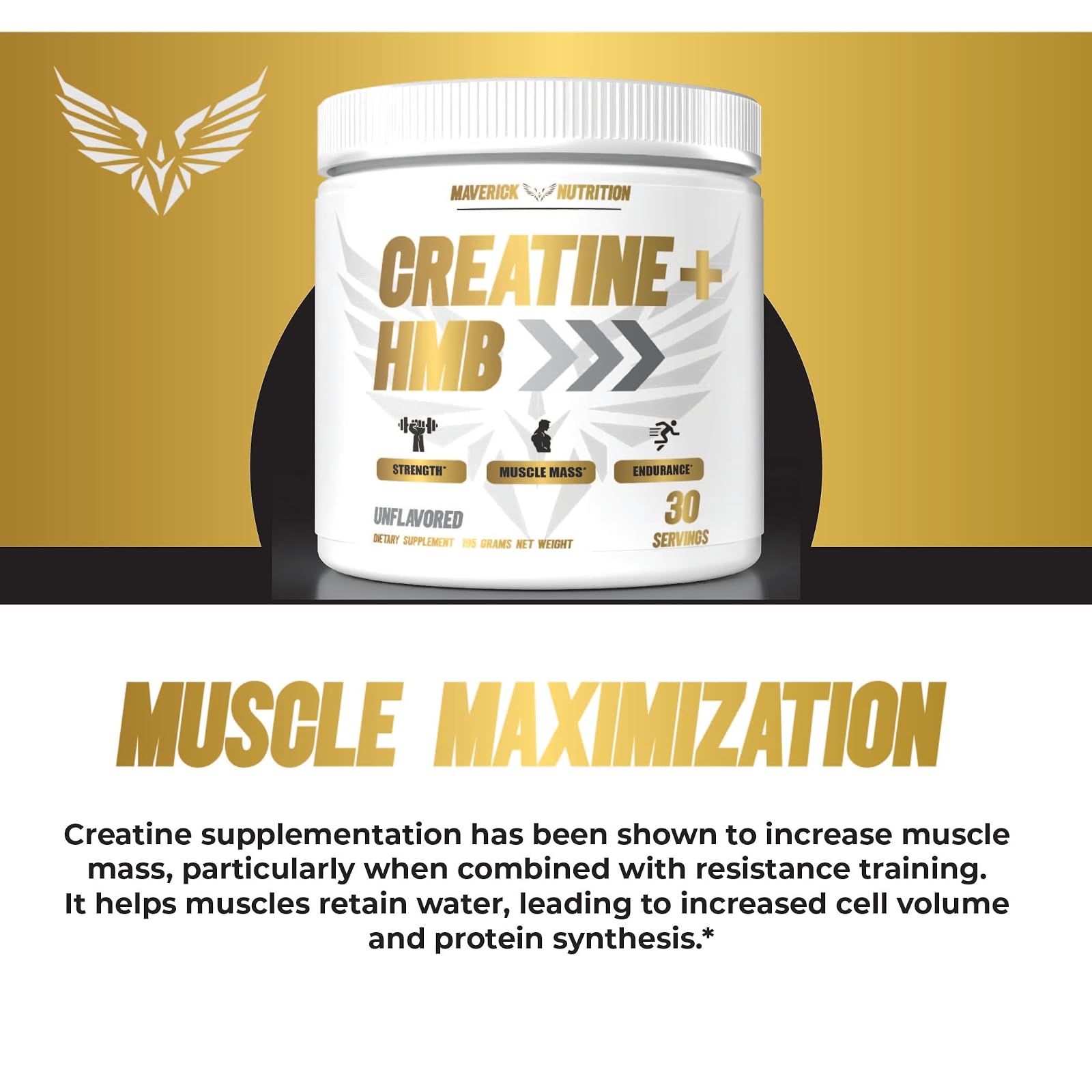 HMB creatine supports workout recovery