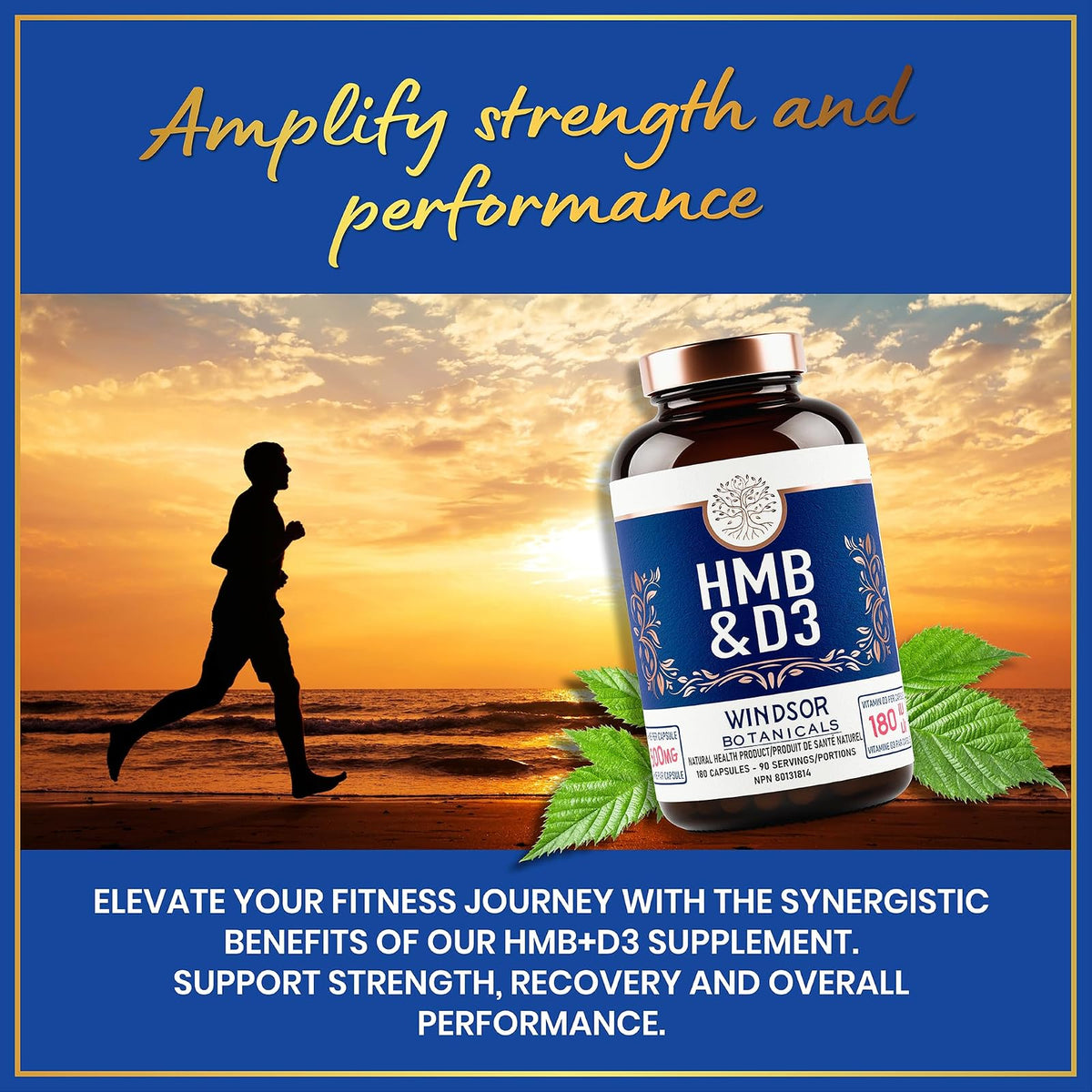 HMB vitamin D capsules for daily wellness