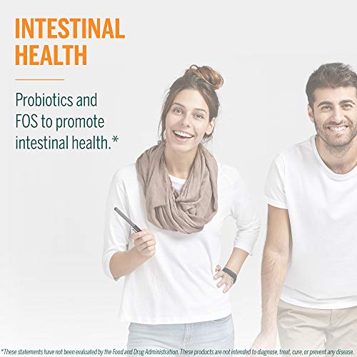 HMF Powder for enhanced nutrient absorption
