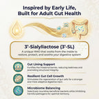 HMO 3'-SL for healthy digestion