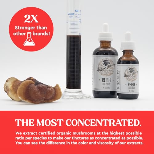 Hodgins Harvest mushroom supplement review