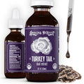 Hodgins Harvest turkey tail tincture benefits