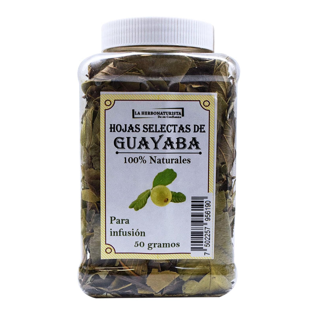 Hoja De Guayaba herbal tea benefits