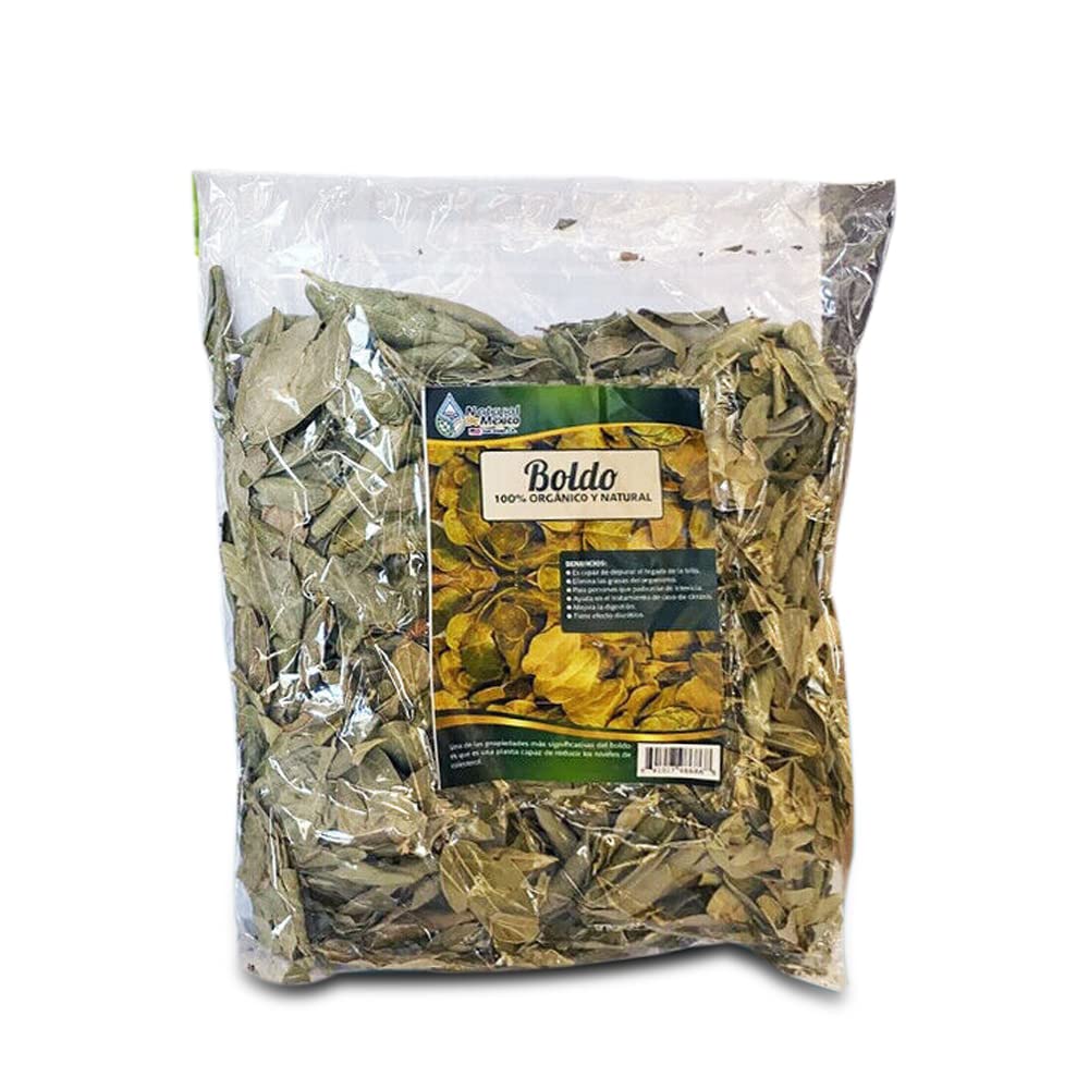 Hojas de Boldo herbal tea benefits