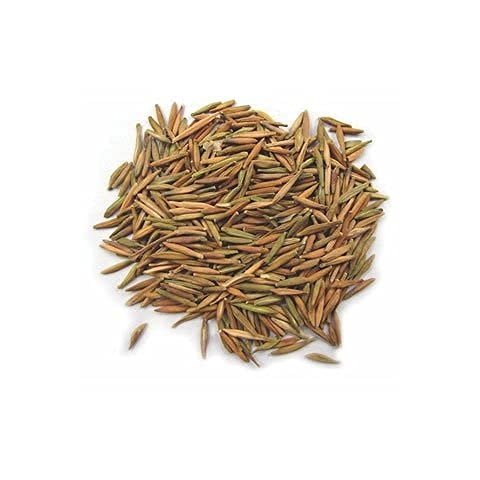 holarrhena pubescens for digestive health