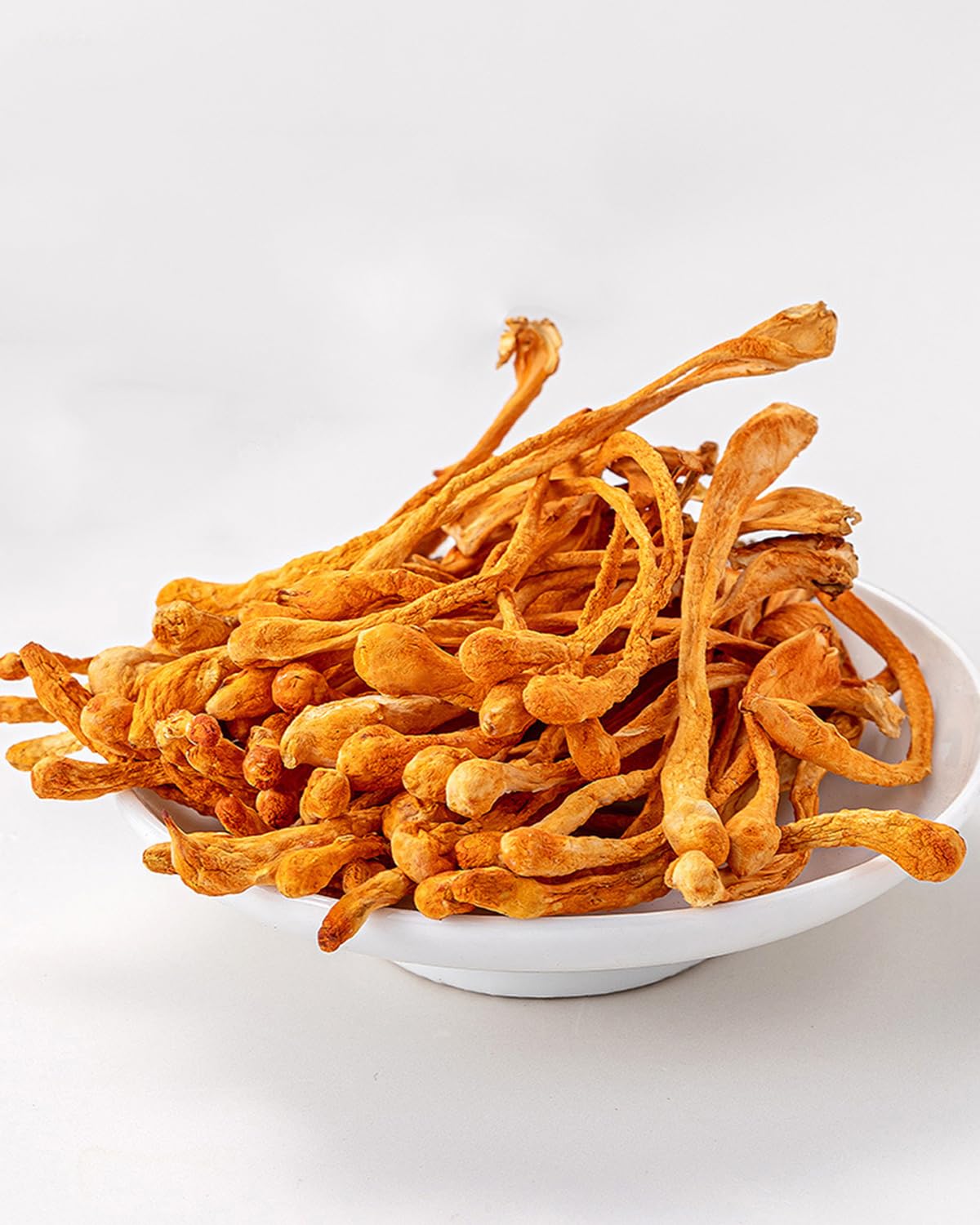 holflying cordyceps mushroom supplement