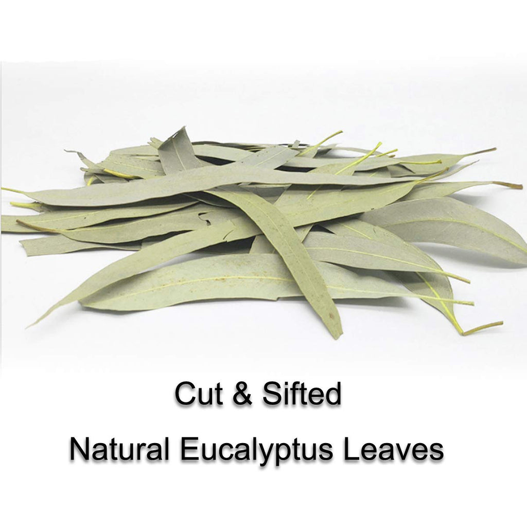 HOLFLYING eucalyptus leaves 2 oz