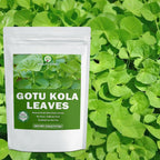 holflying gotu kola herbal supplement