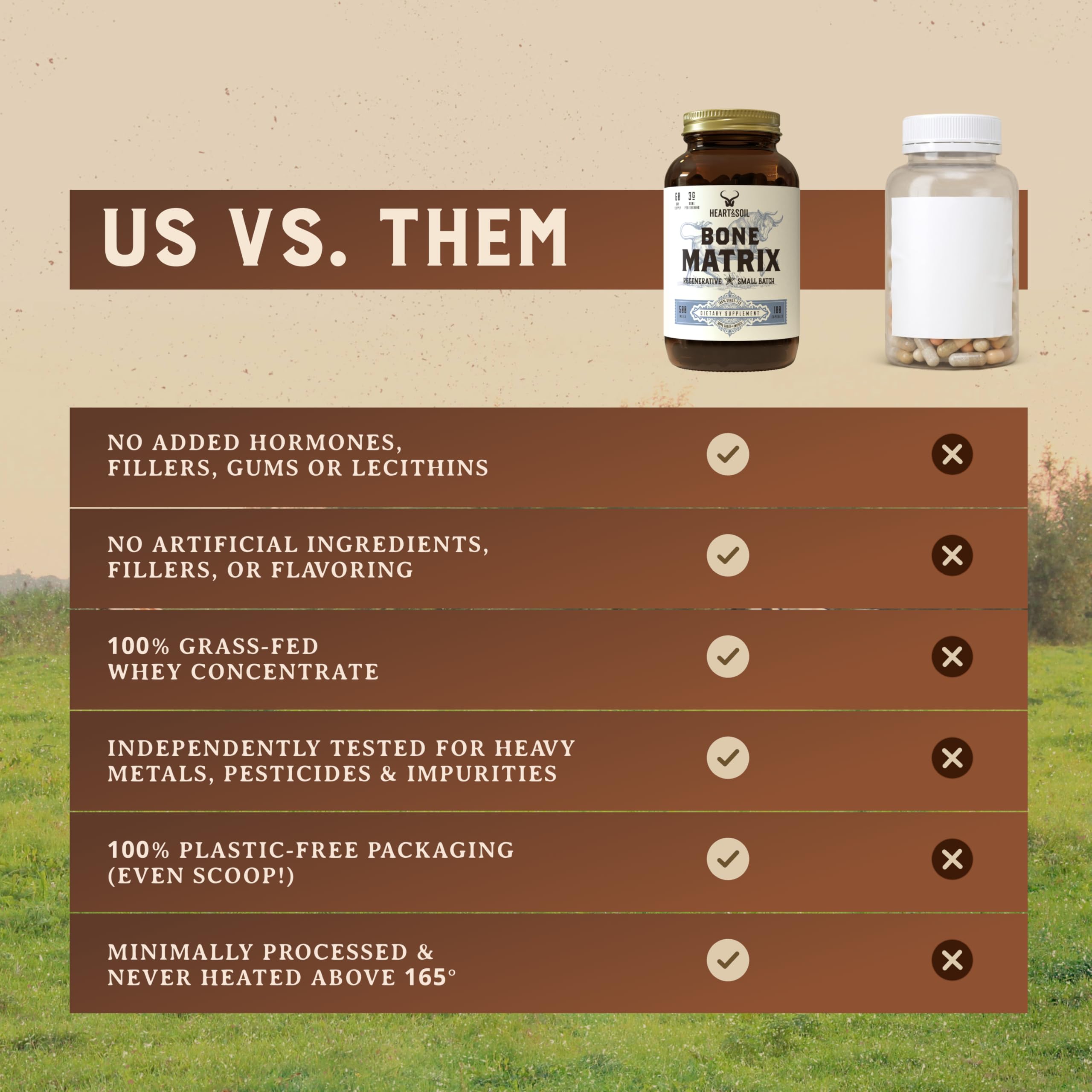 holistic approach to bone health