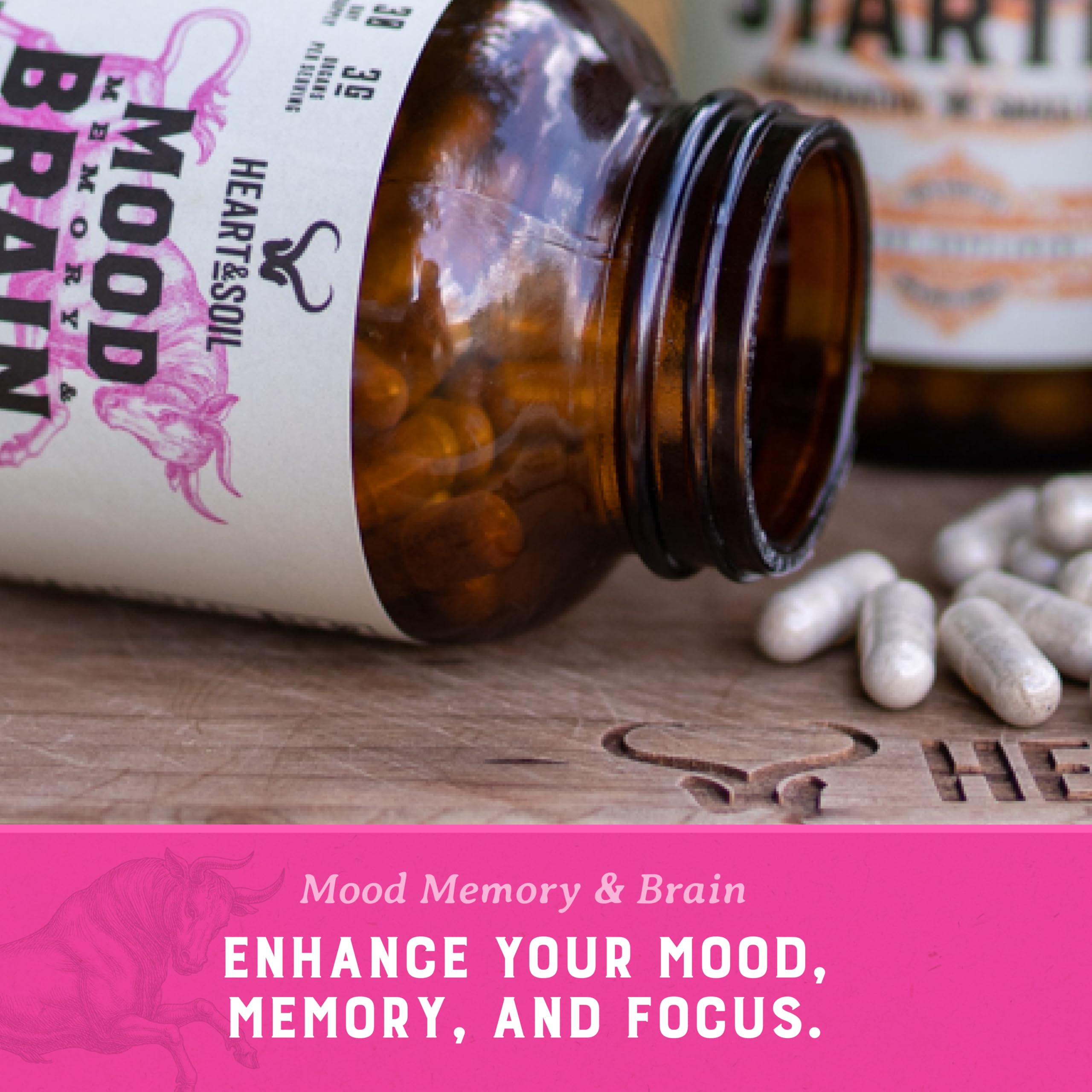 holistic approach to brain function support