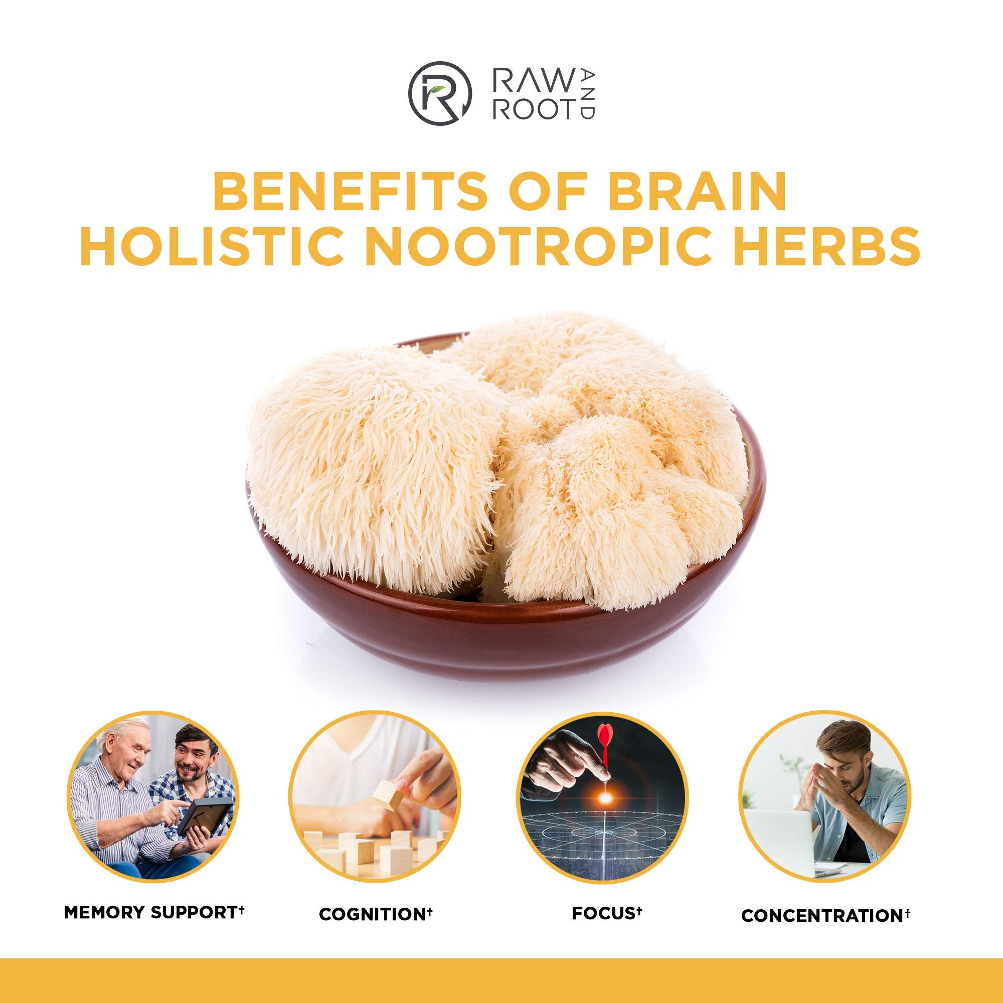 Holistic approach to brain function