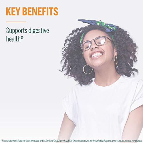 holistic approach to digestive health