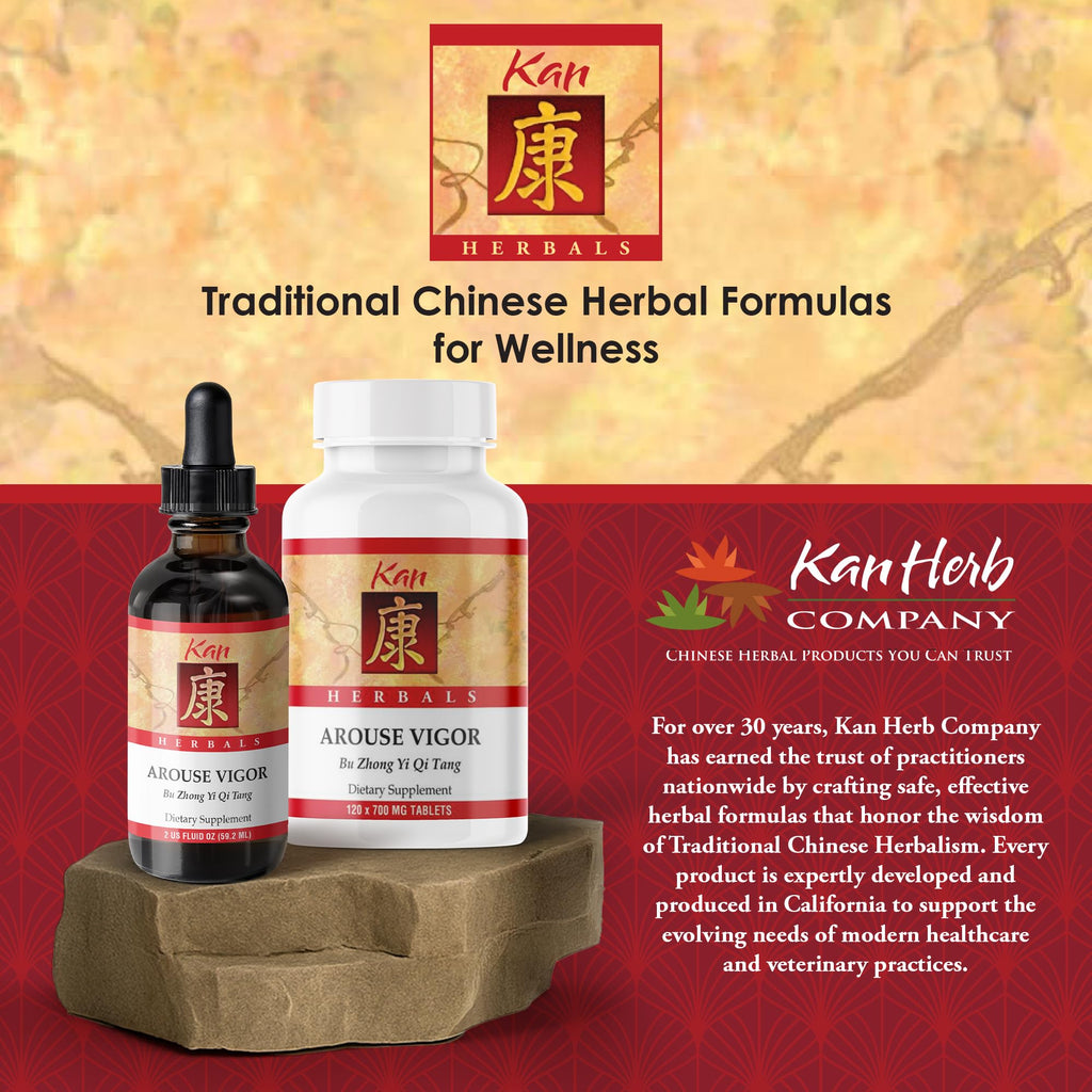 holistic approach to energy and digestion