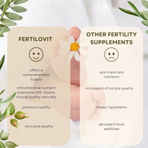 holistic approach to female fertility