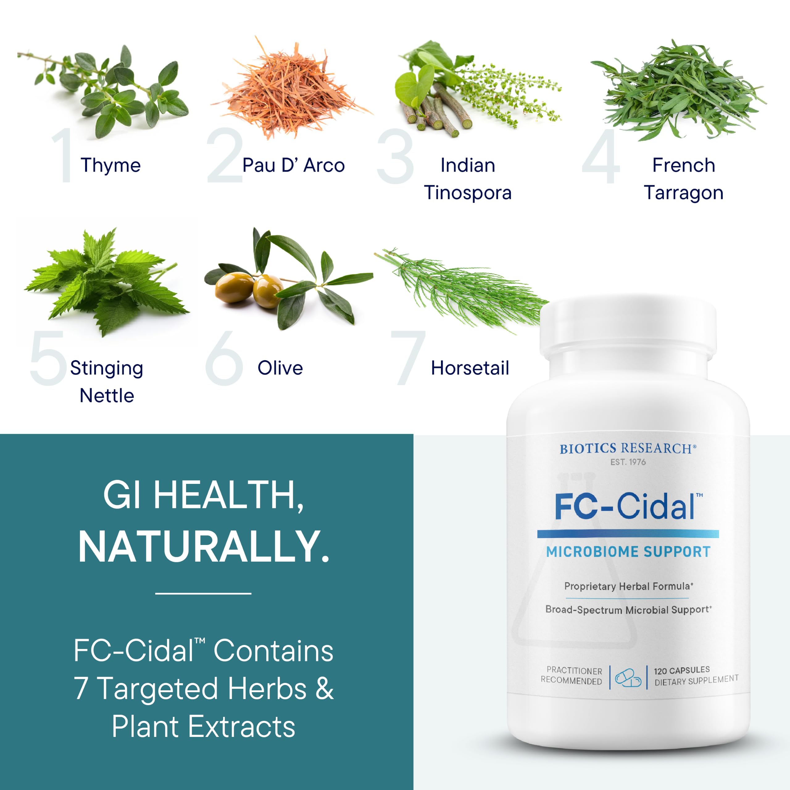 holistic approach to GI health