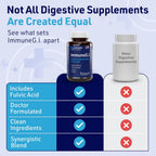 holistic approach to gut health