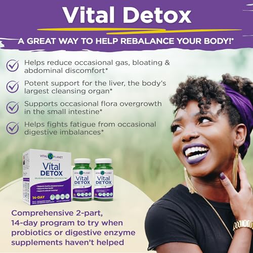 holistic approach to gut health