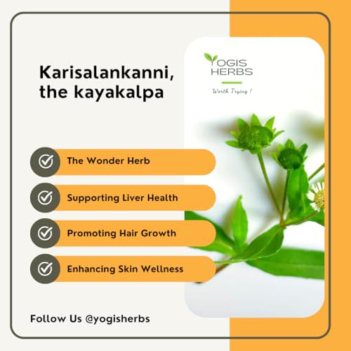Holistic approach to hair wellness