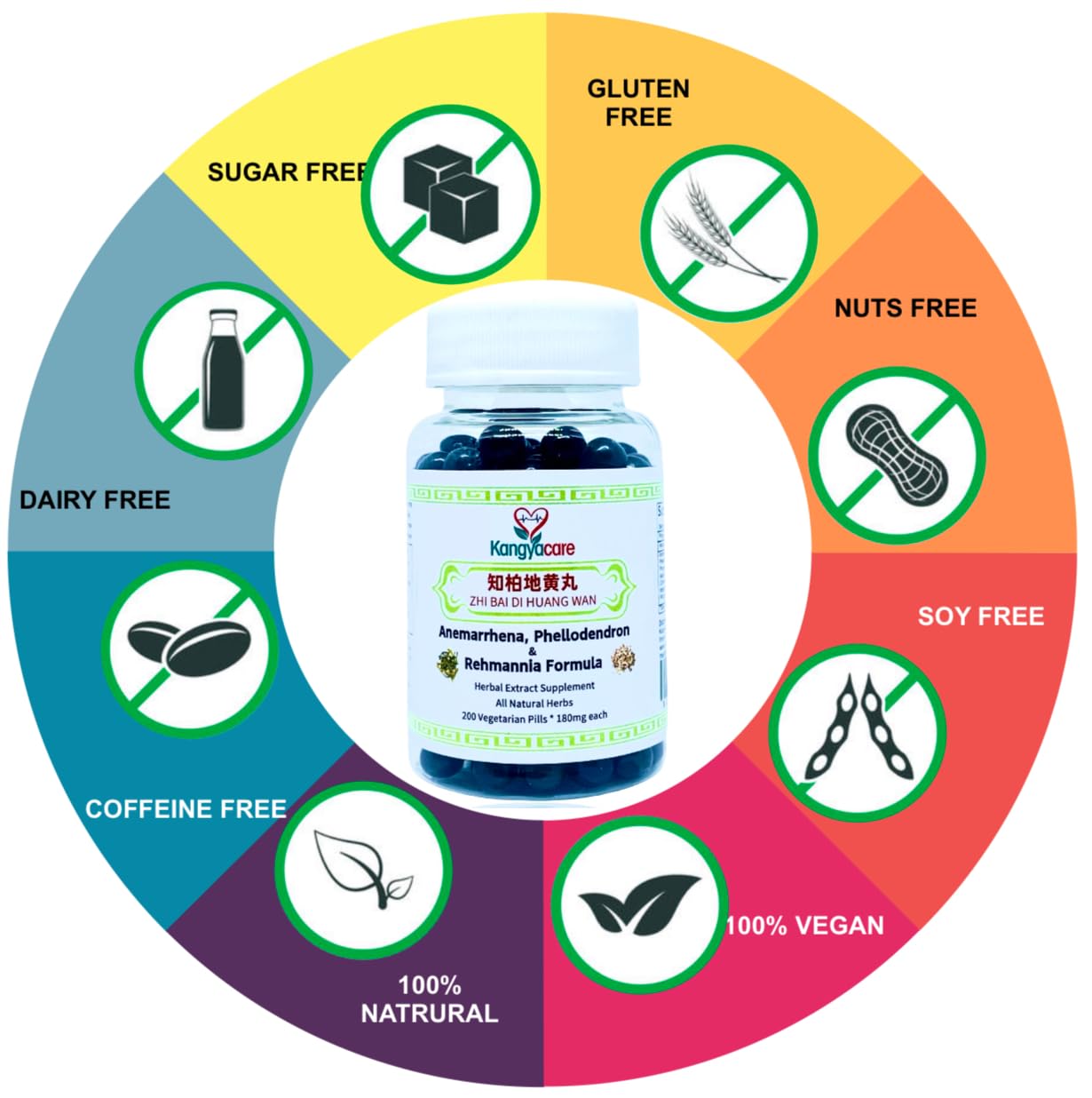 holistic approach to health supplements