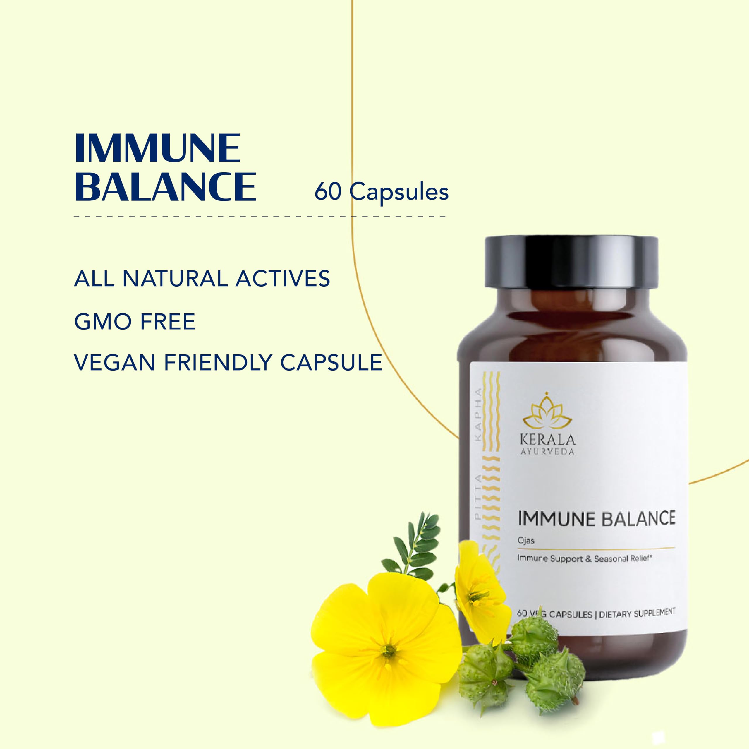 holistic approach to immune support
