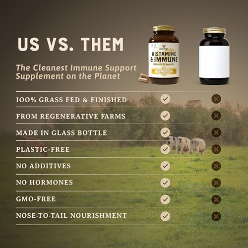 holistic approach to immune wellness
