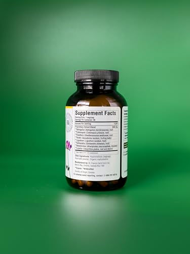 holistic approach to immune wellness