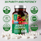 holistic approach to kidney health
