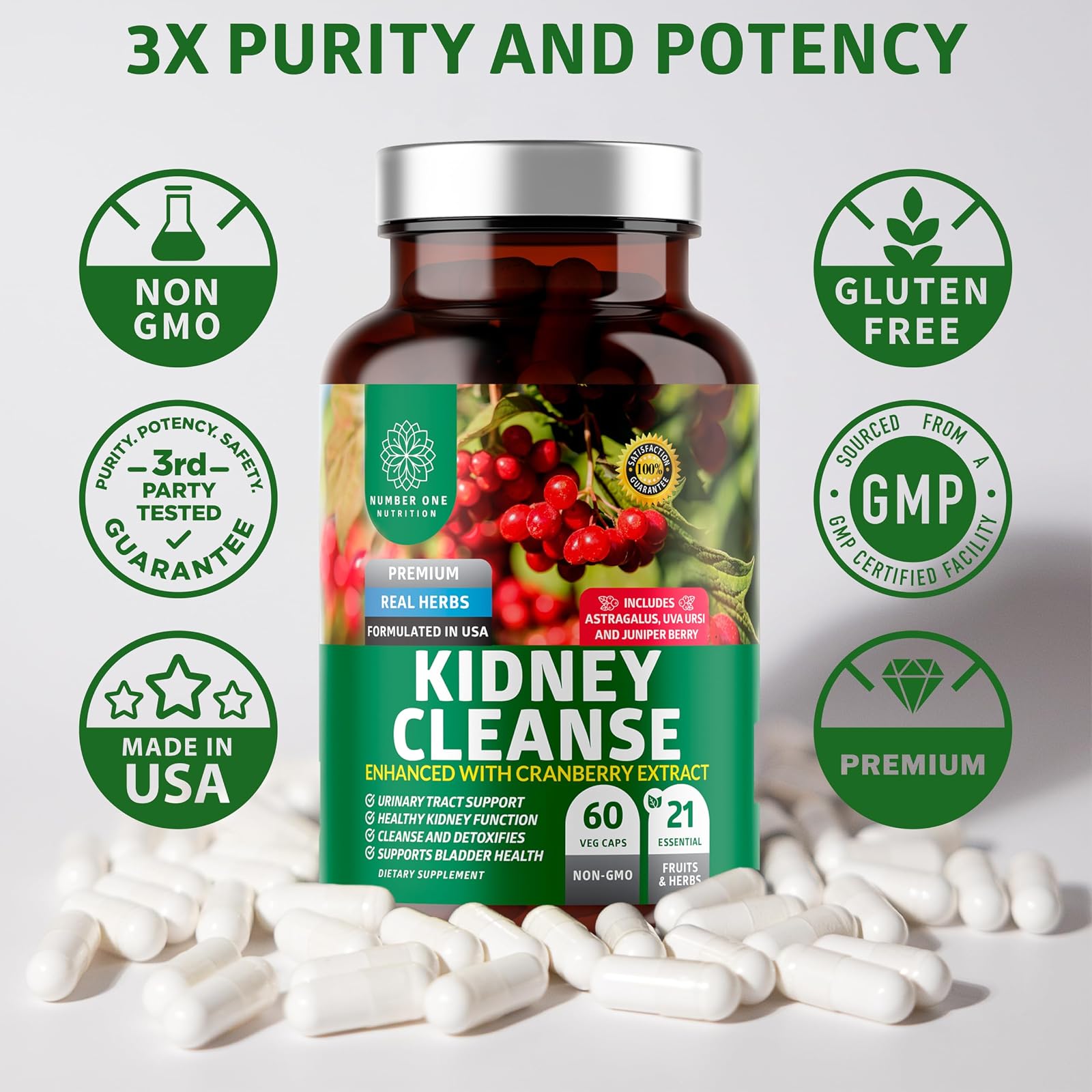 holistic approach to kidney health