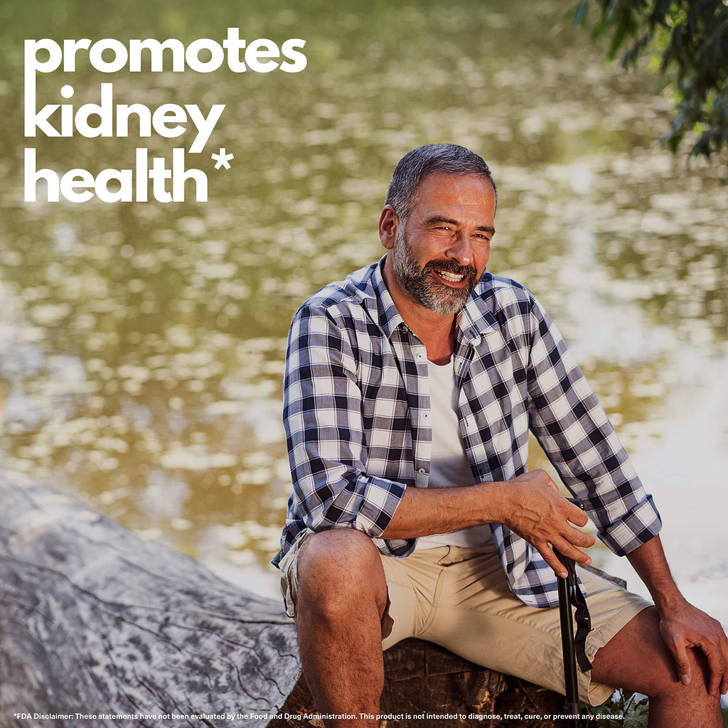 holistic approach to kidney health