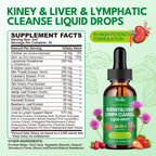 holistic approach to kidney support