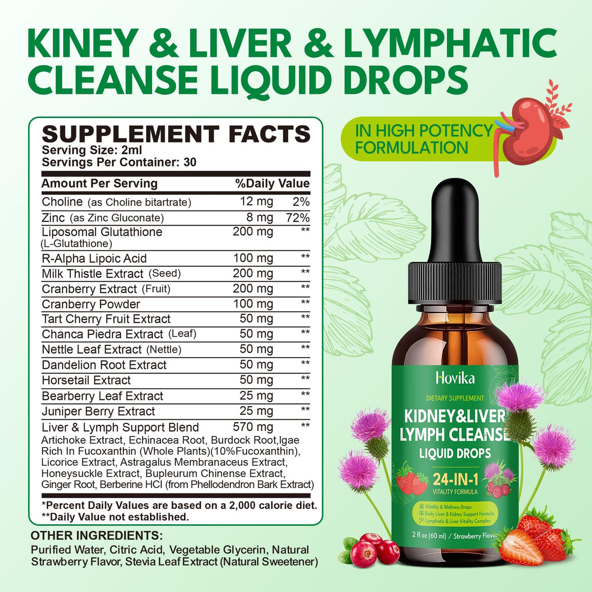 holistic approach to kidney support