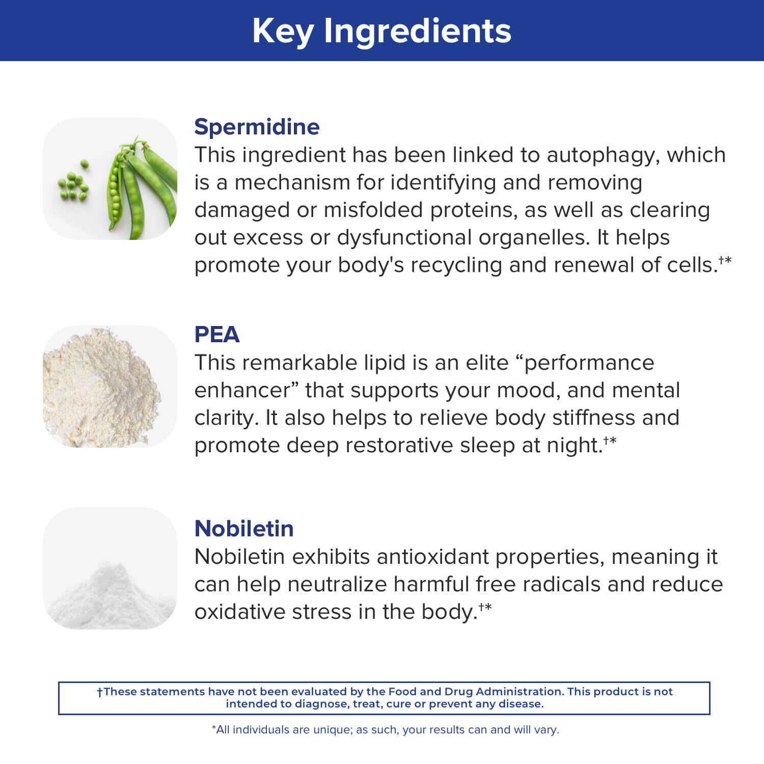 Holistic approach to longevity vitamins